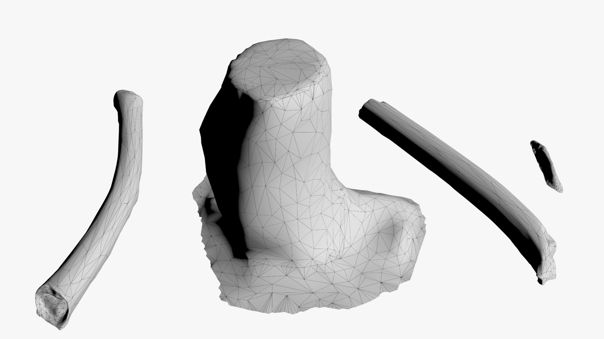 3D Root Stump - TurboSquid 1464475