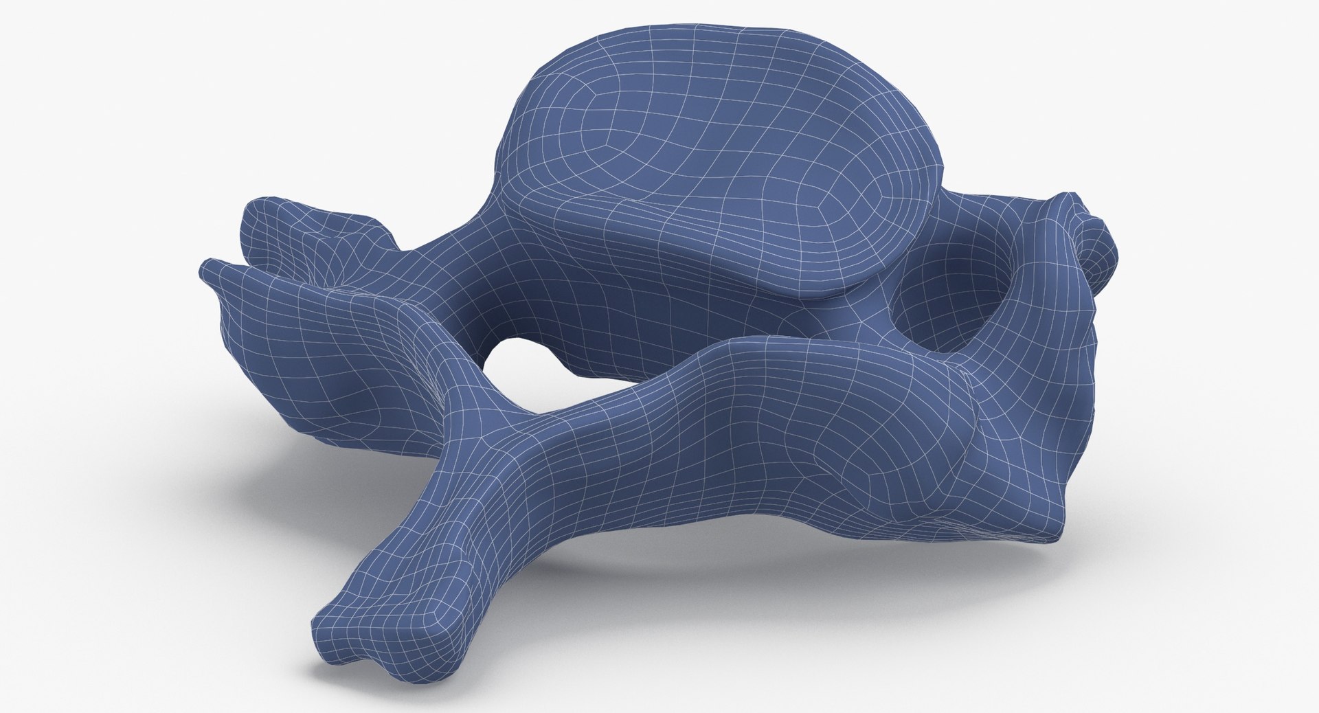 Cervical Vertebrae C7 White 3D Model - TurboSquid 1709343