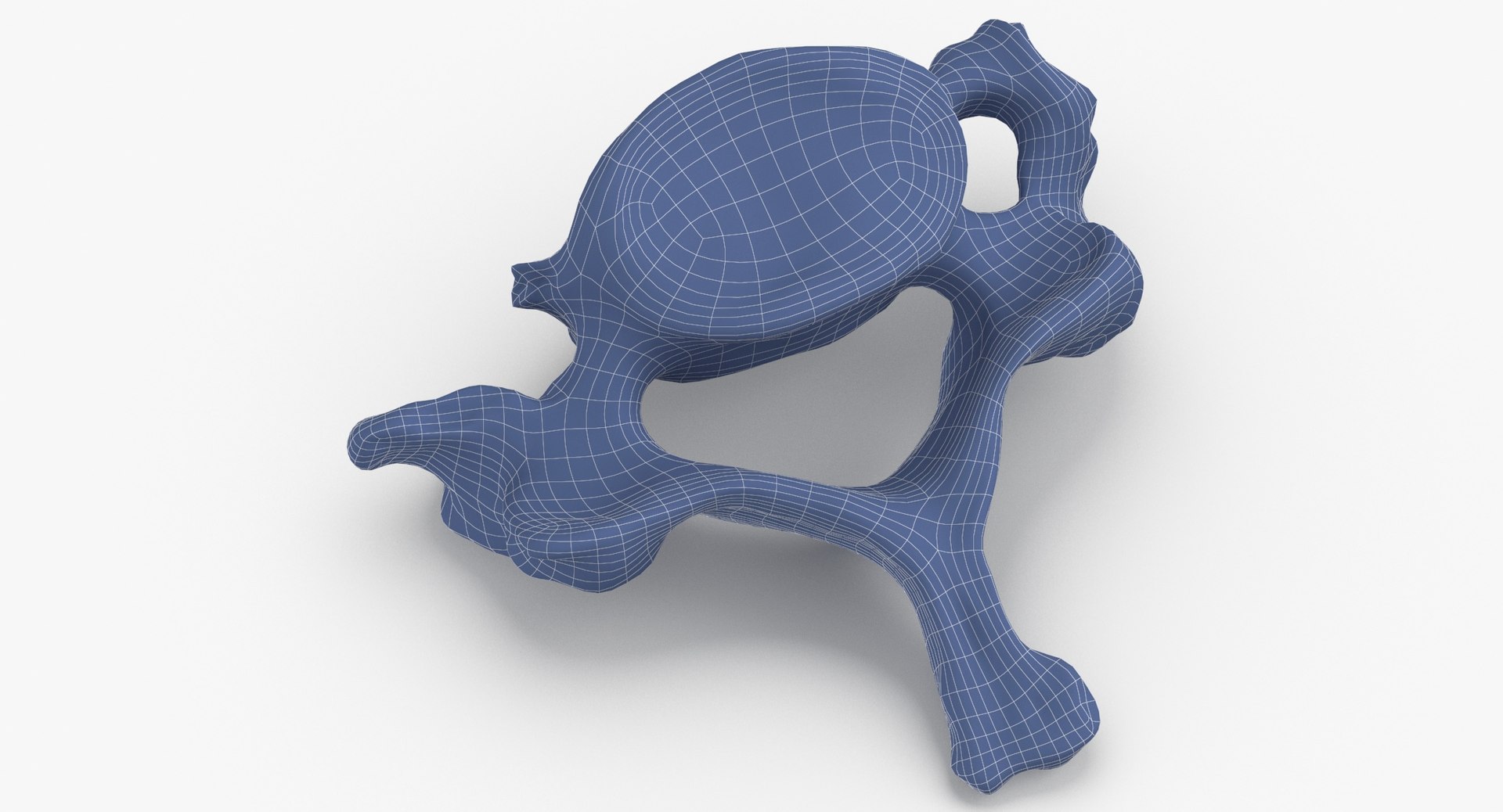 Cervical Vertebrae C7 White 3D Model - TurboSquid 1709343