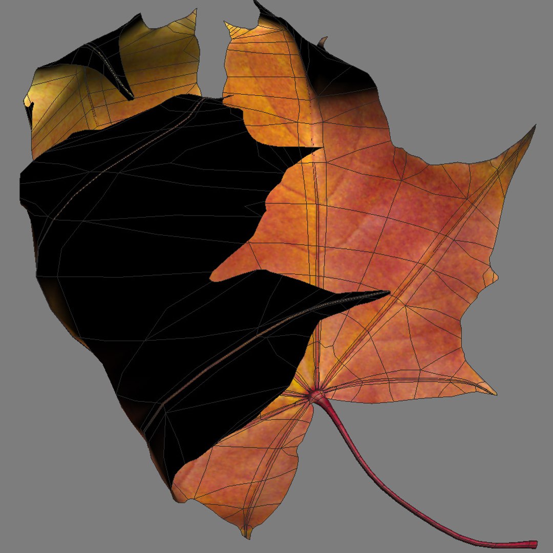 Realistic Autumn Leaf Max