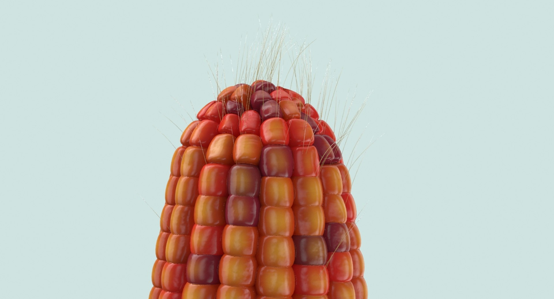 Ears-of-corn---02-cv3 3D Model - TurboSquid 1340270