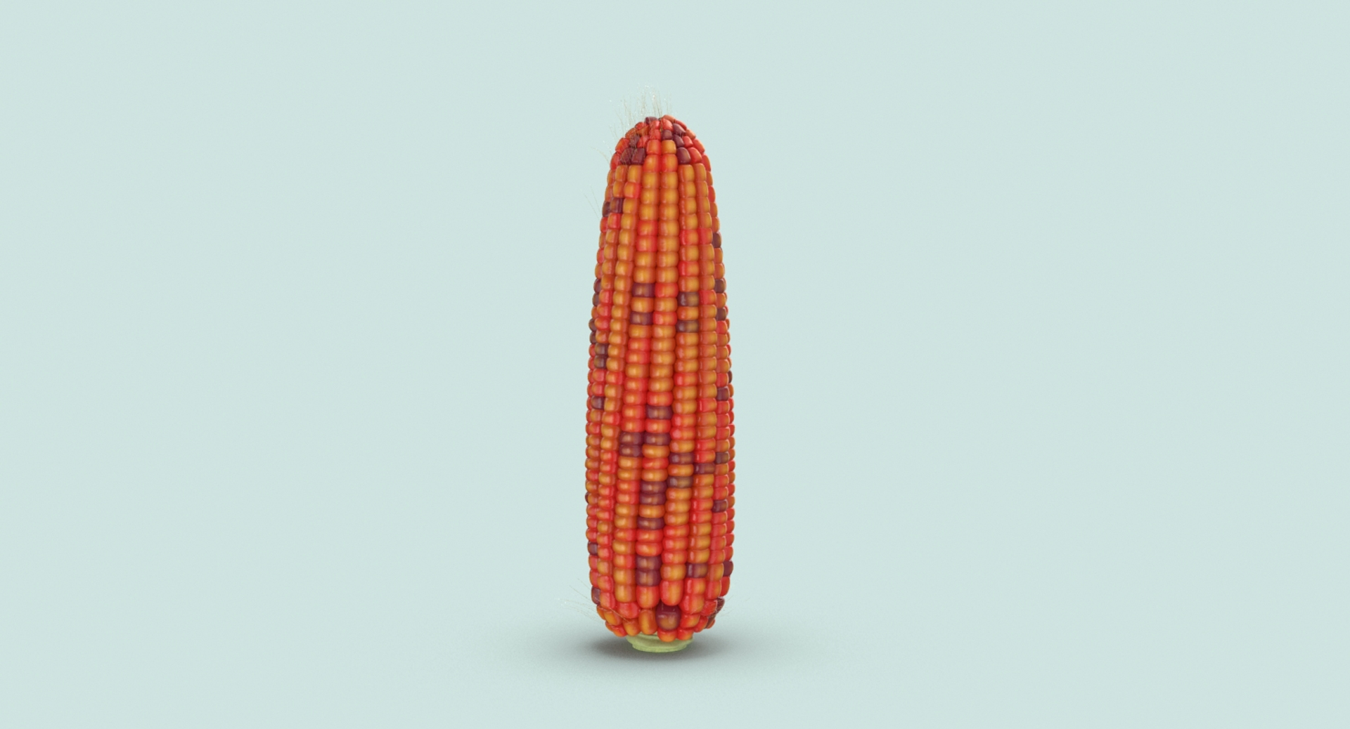 Ears-of-corn---02-cv3 3D Model - TurboSquid 1340270