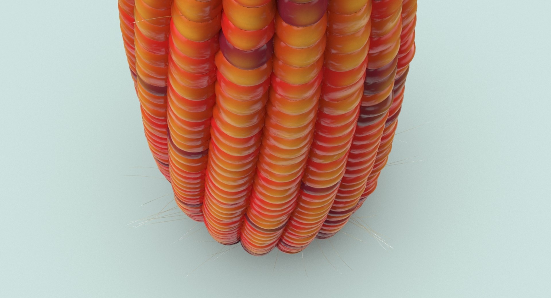 Ears-of-corn---02-cv3 3D Model - TurboSquid 1340270
