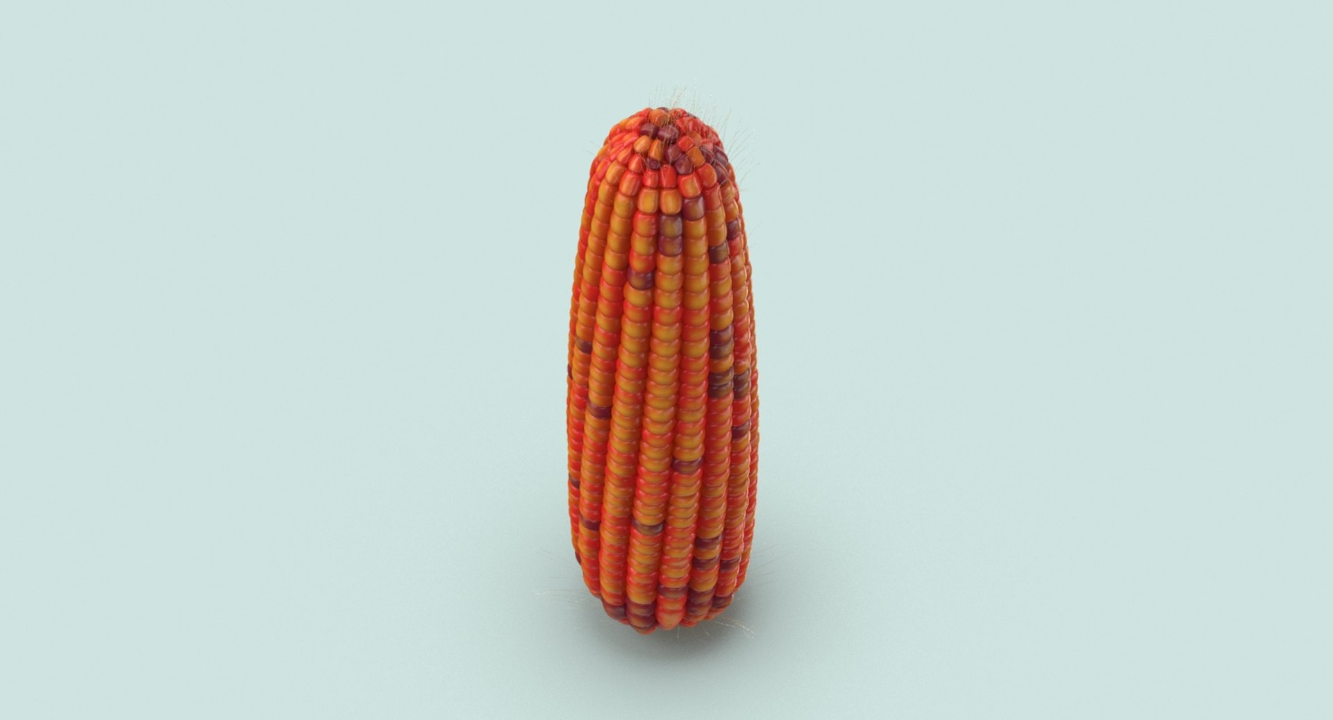 Ears-of-corn---02-cv3 3D Model - TurboSquid 1340270