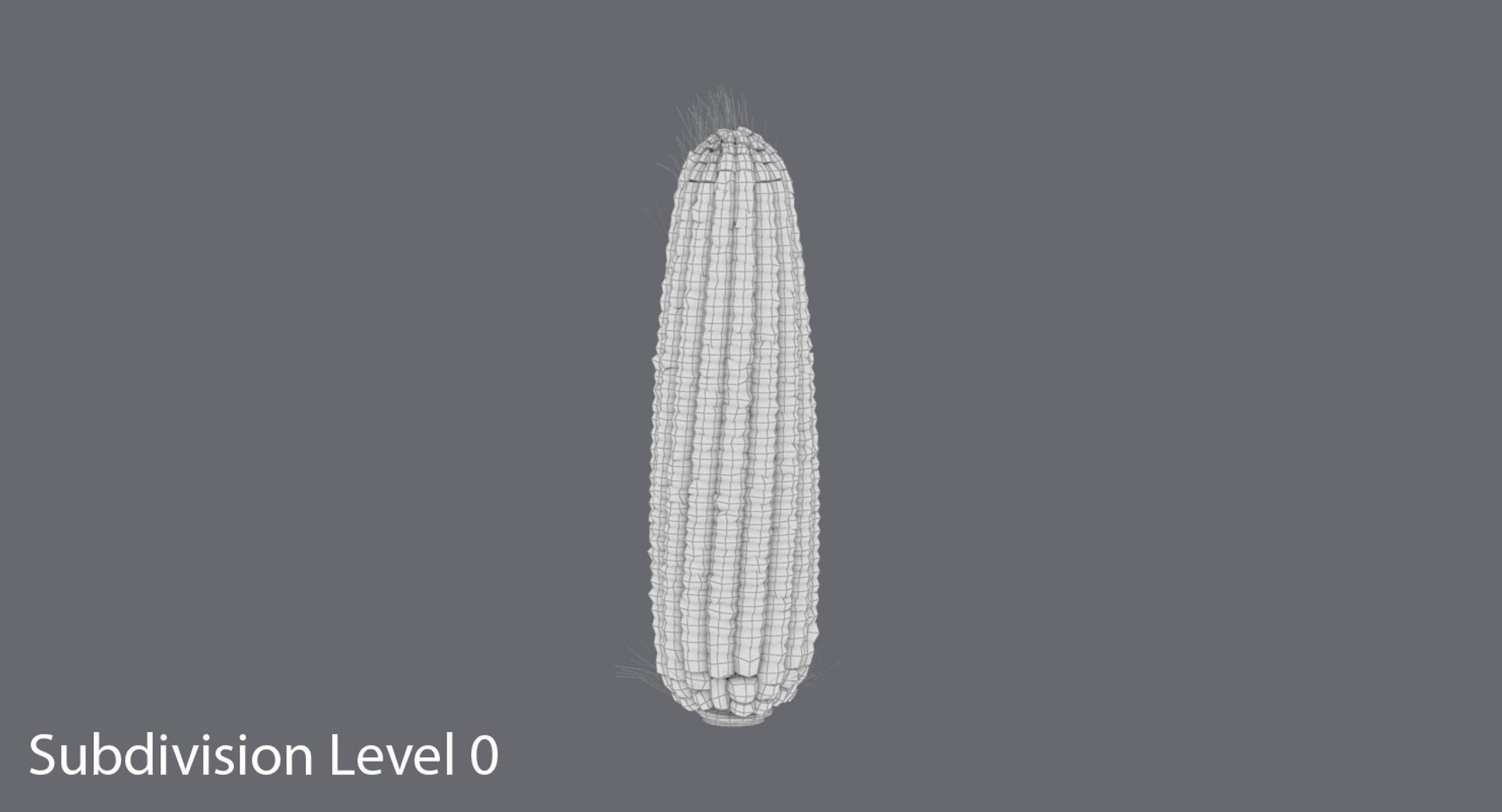 Ears-of-corn---02-cv3 3D Model - TurboSquid 1340270