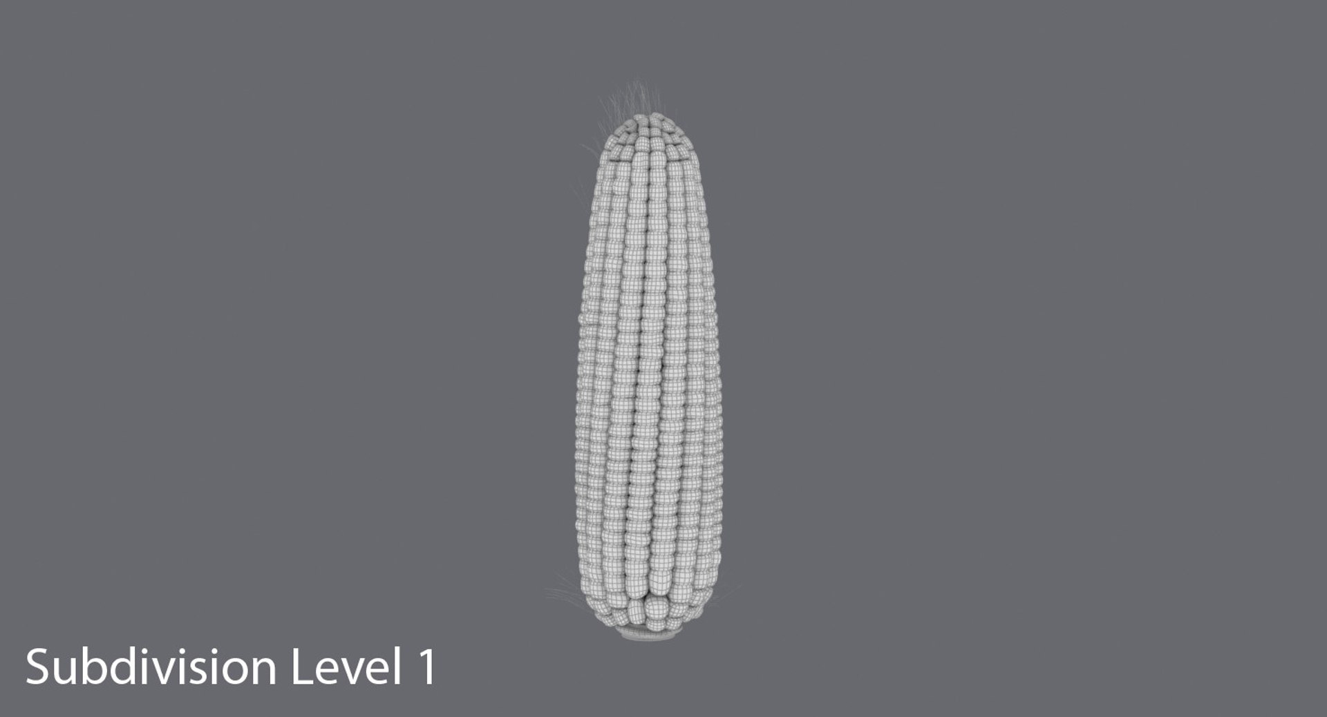 Ears-of-corn---02-cv3 3D Model - TurboSquid 1340270