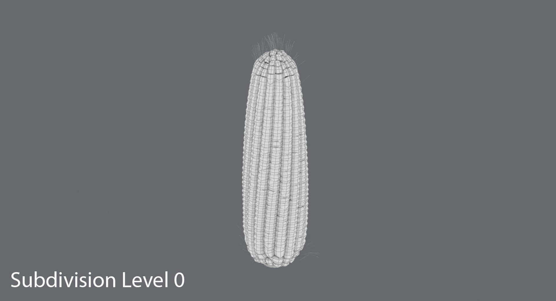 Ears-of-corn---02-cv3 3D Model - TurboSquid 1340270