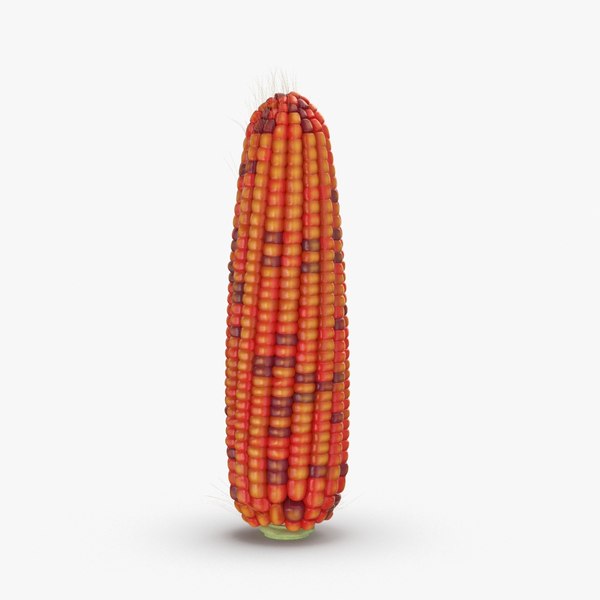 Corn On The Cob 3D Models for Download | TurboSquid