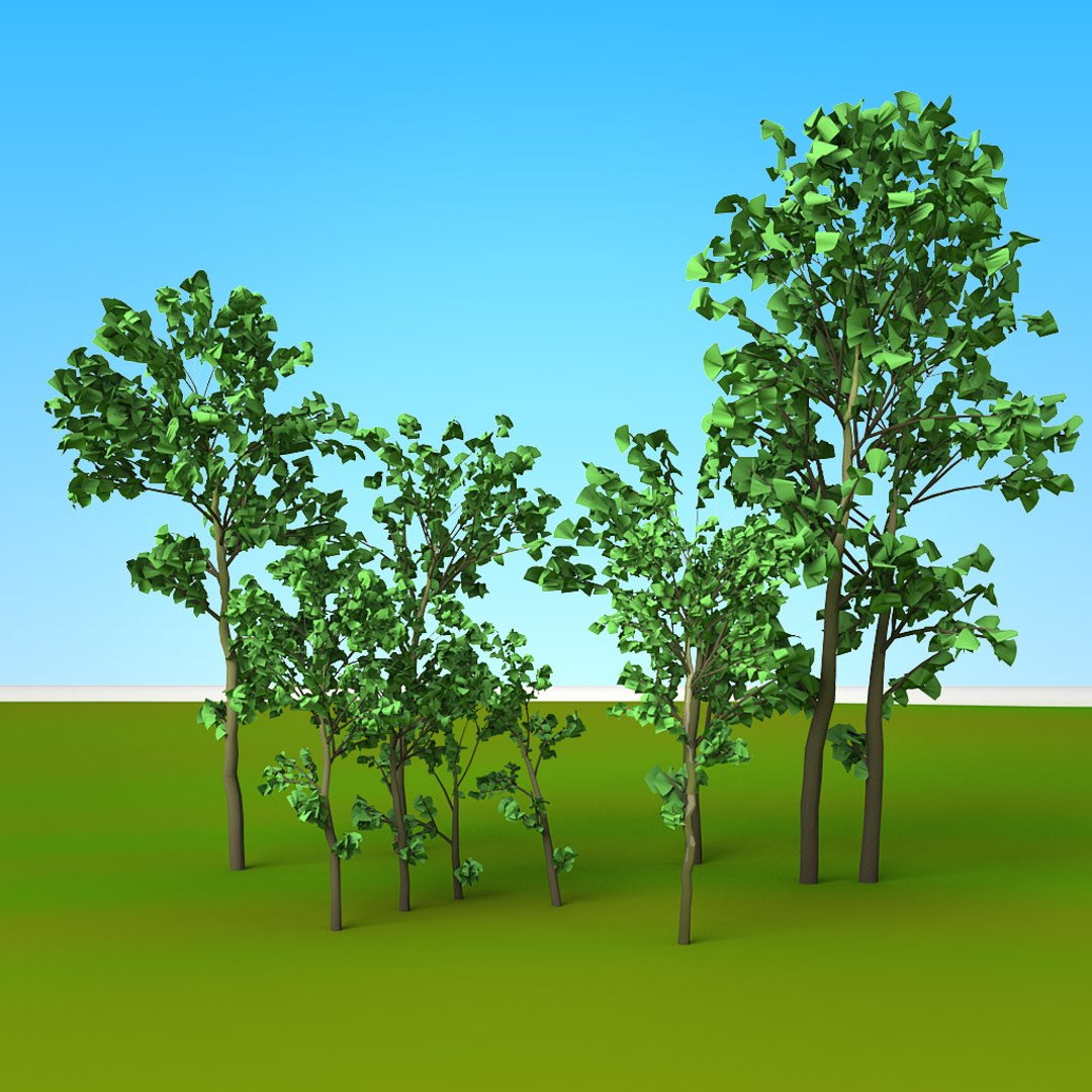 3d Model Of Trees