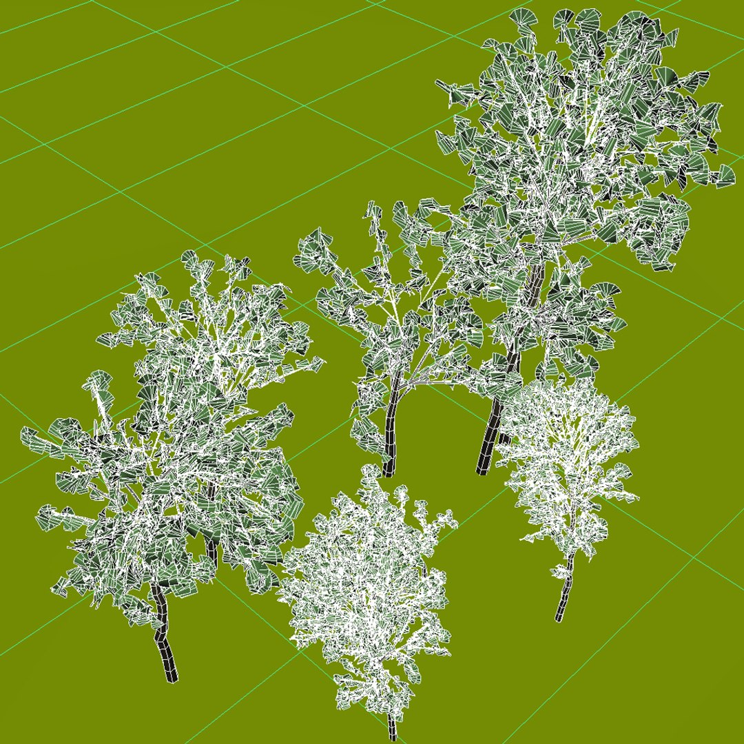 3d Model Of Trees