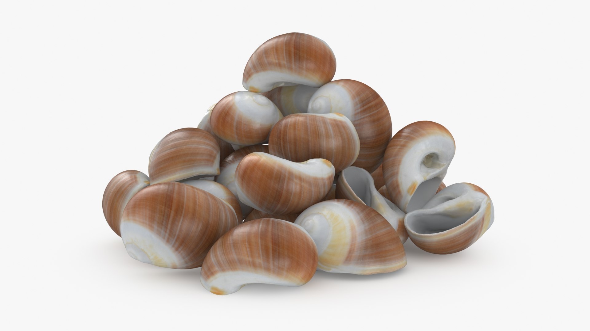 3D Natica Vitellus Pile Model - TurboSquid 2210575