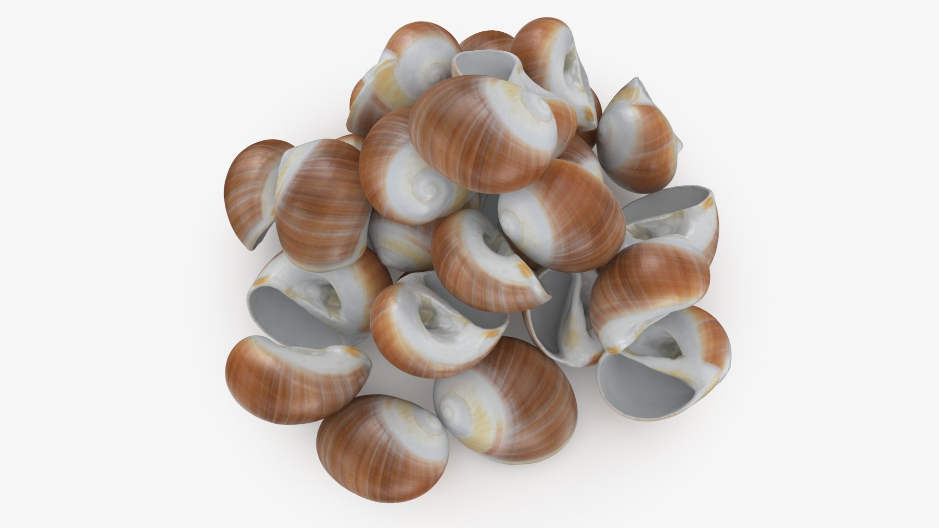 3D Natica Vitellus Pile Model - TurboSquid 2210575