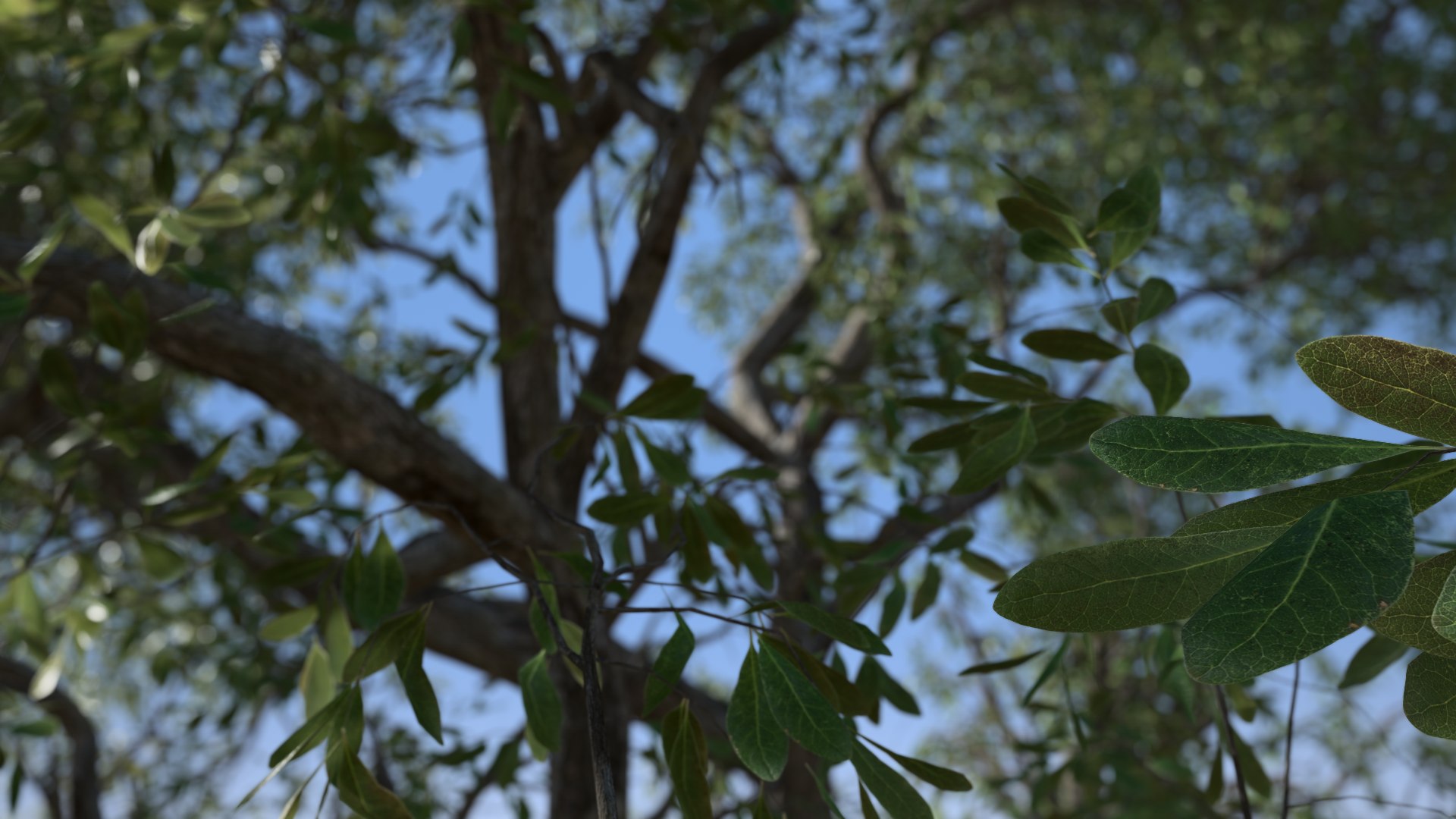 3D Simple Tree - TurboSquid 1994938