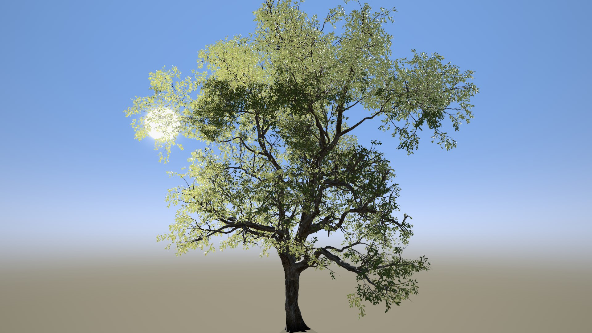 3D Simple Tree - TurboSquid 1994938