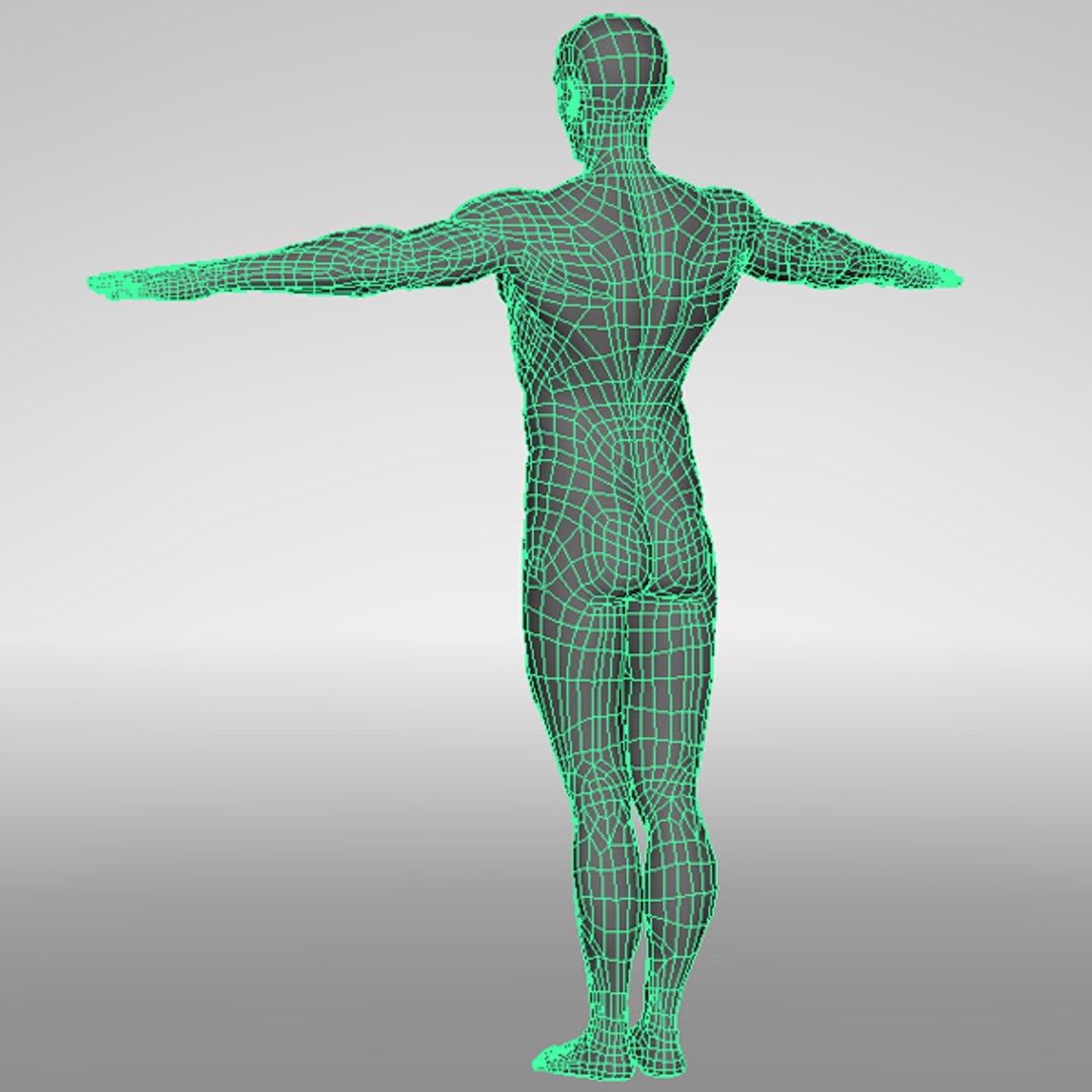 3d Model Male Body