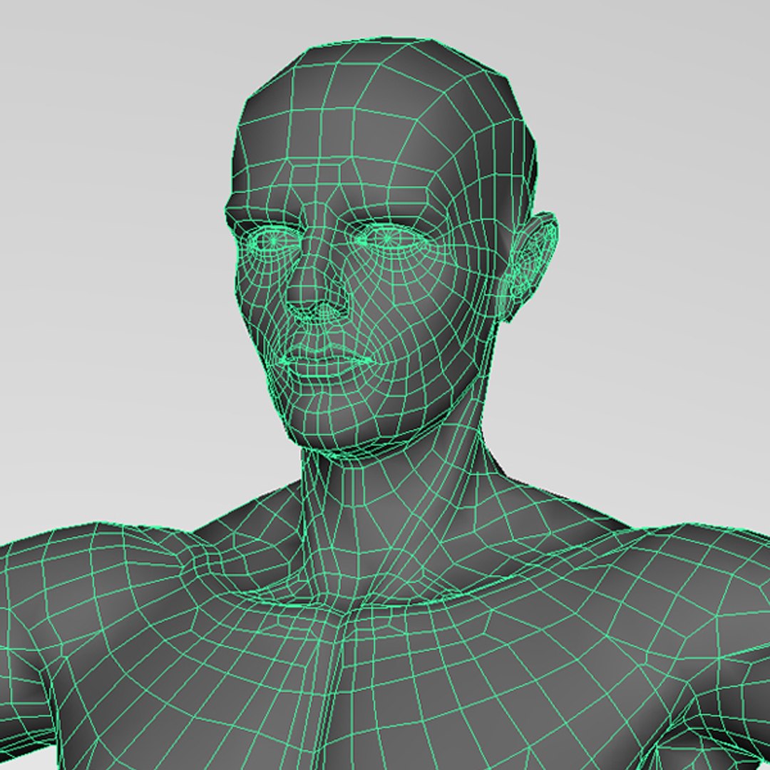 3d Model Male Body