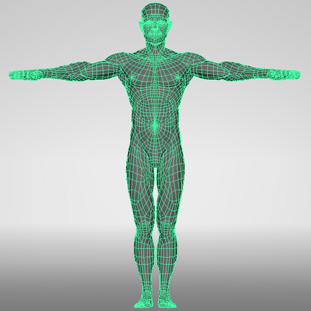 3d Model Male Body