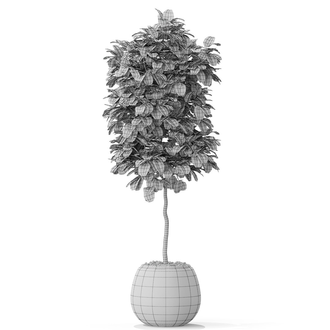 Plants Collection 575 3D - TurboSquid 1860382