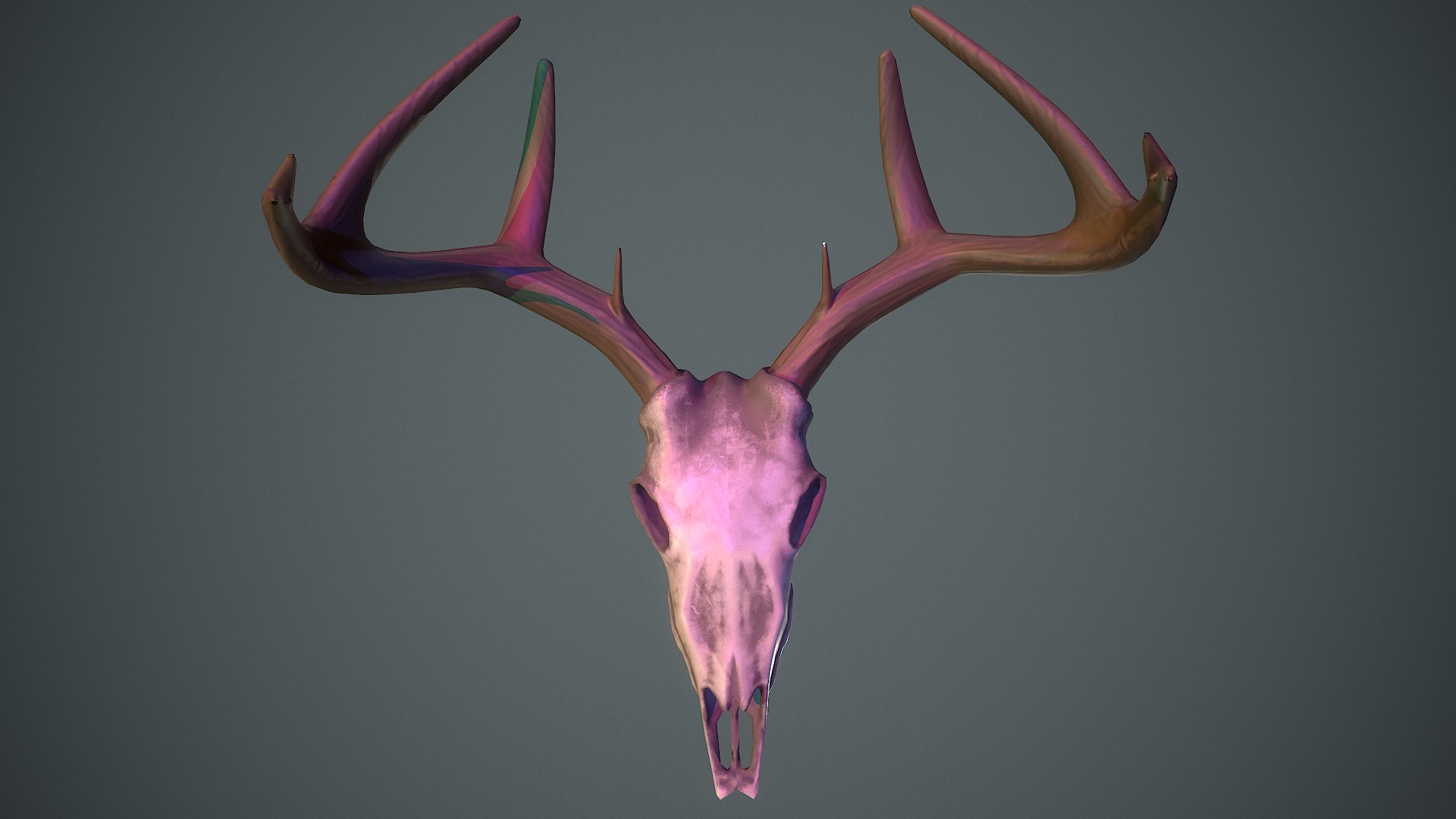 3D Deer Skull Model - TurboSquid 1846827