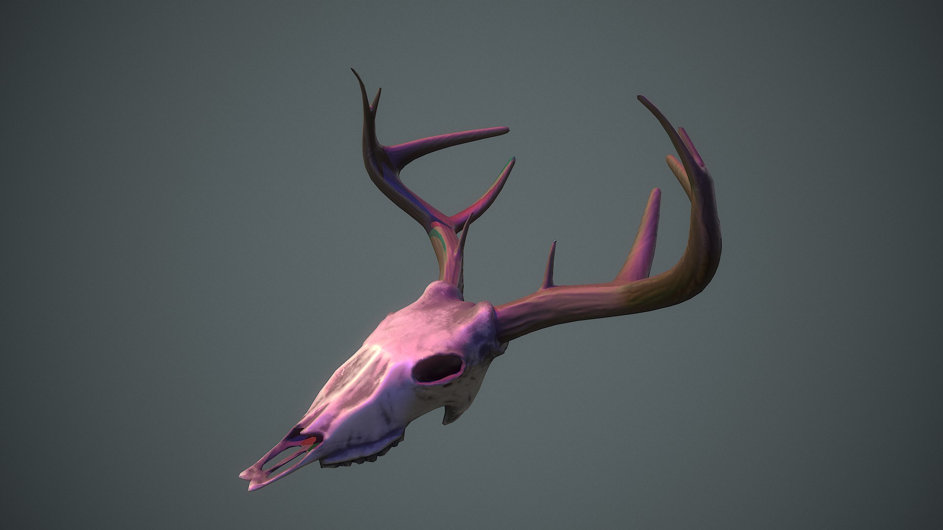3D Deer Skull Model - TurboSquid 1846827