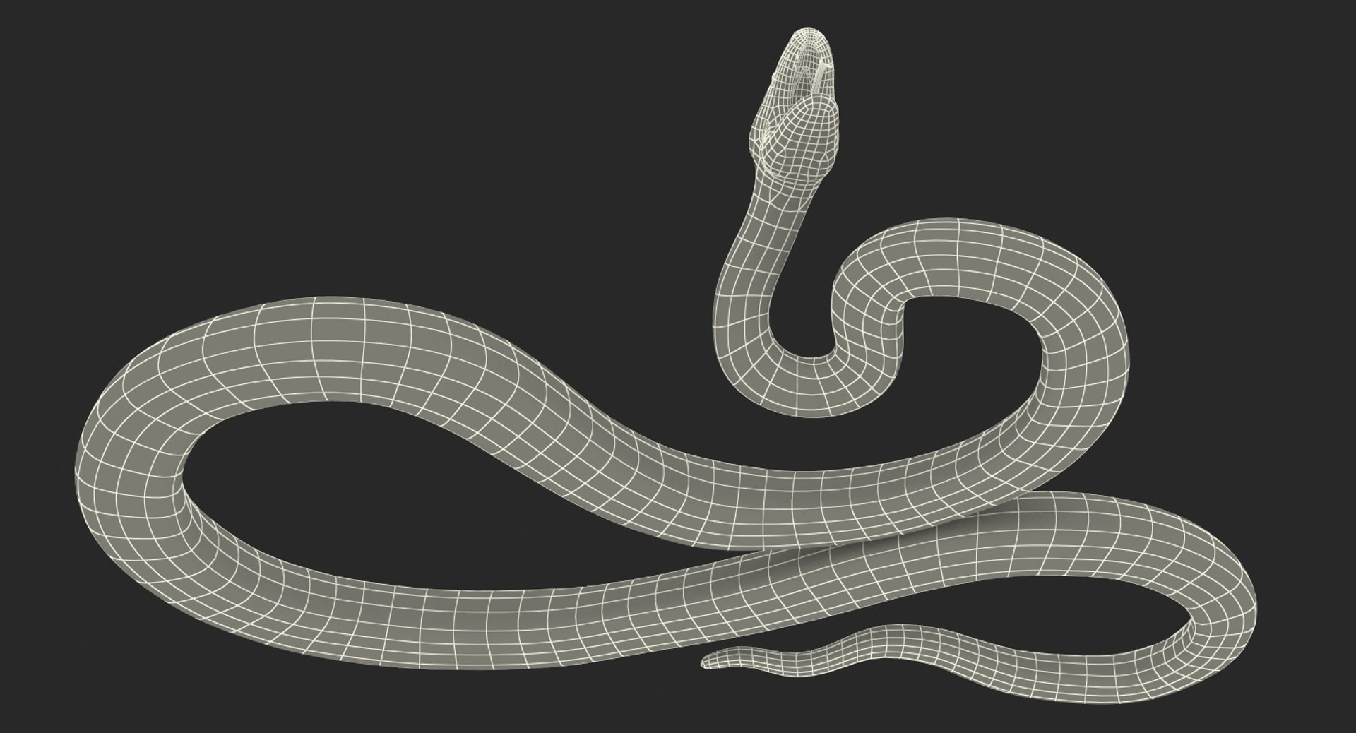 3D yellow python snake attack - TurboSquid 1412938
