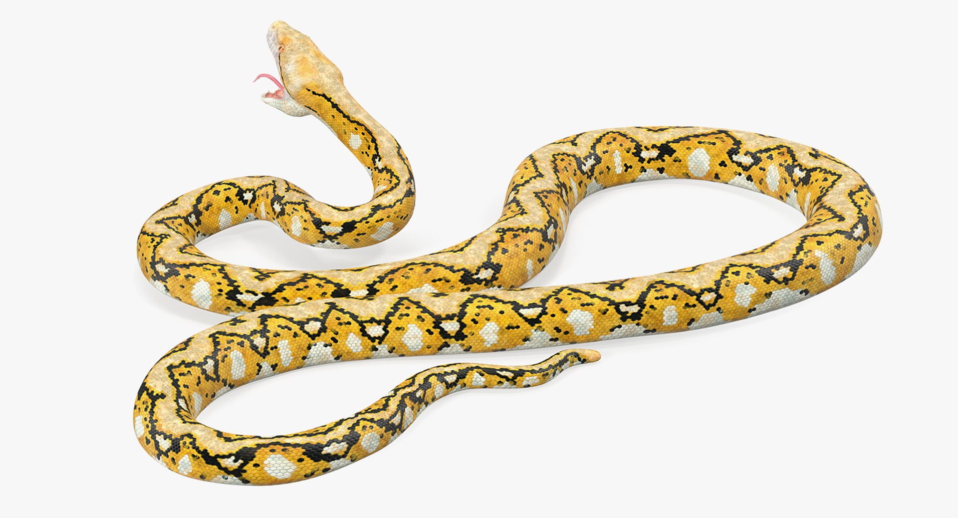 3D yellow python snake attack - TurboSquid 1412938