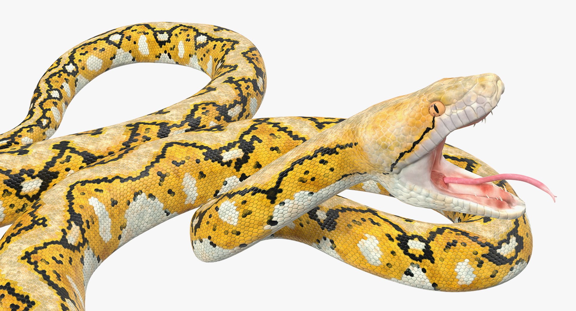 3D yellow python snake attack - TurboSquid 1412938