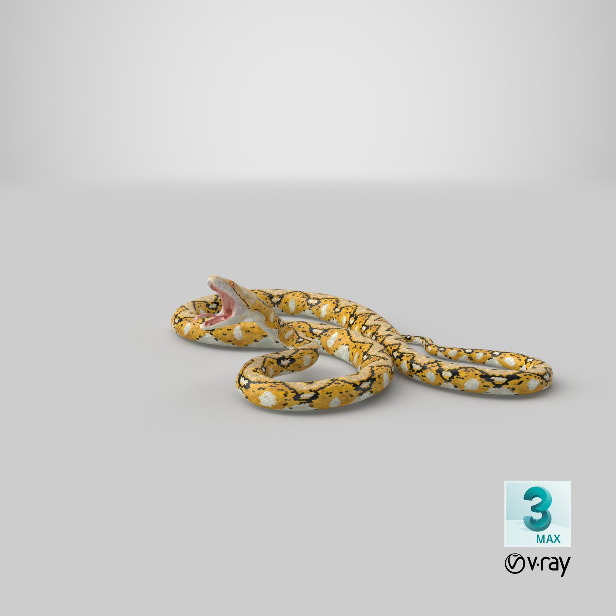 3D yellow python snake attack - TurboSquid 1412938