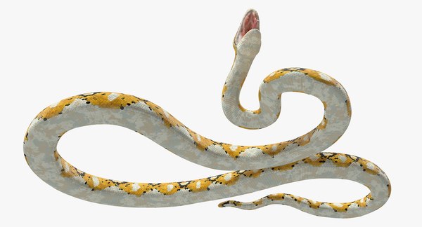 3D yellow python snake attack - TurboSquid 1412938