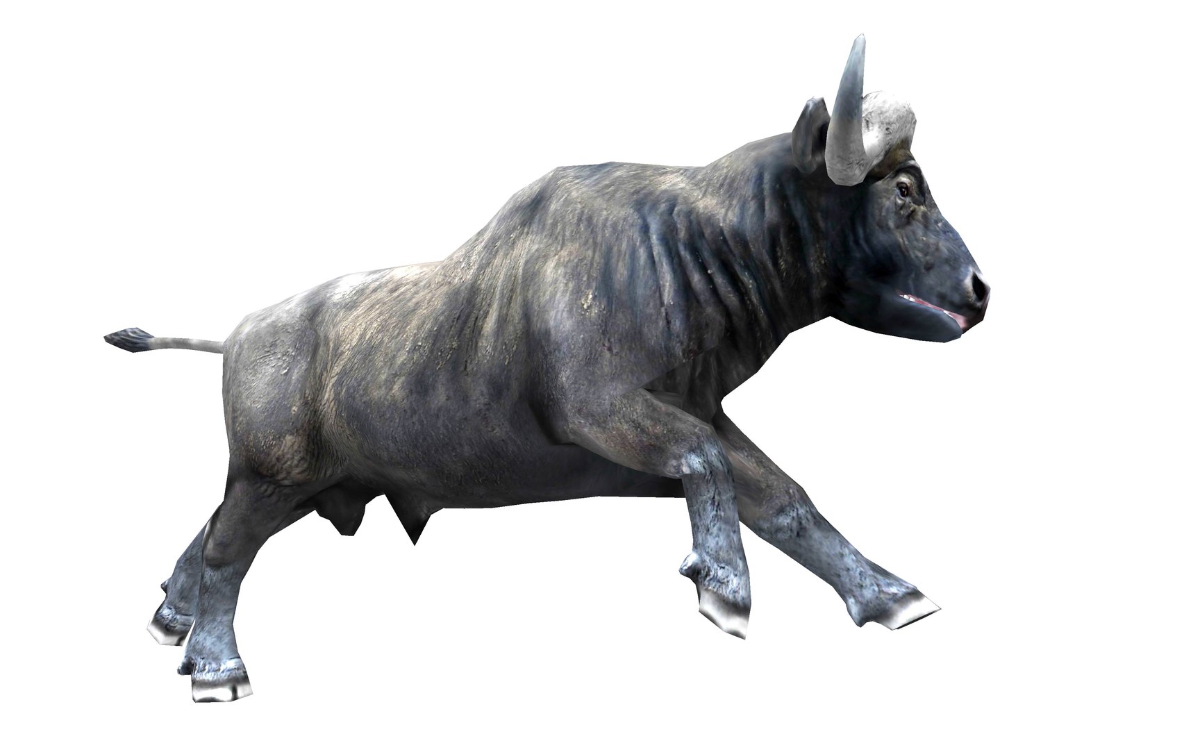 Wild Buffalo 3D Model - TurboSquid 1510868