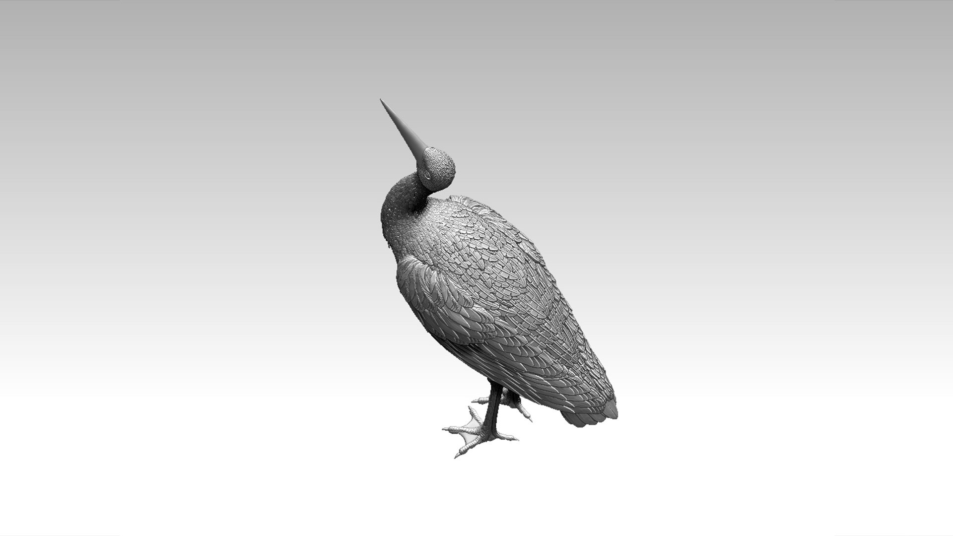 3D Stork Model - TurboSquid 1901458