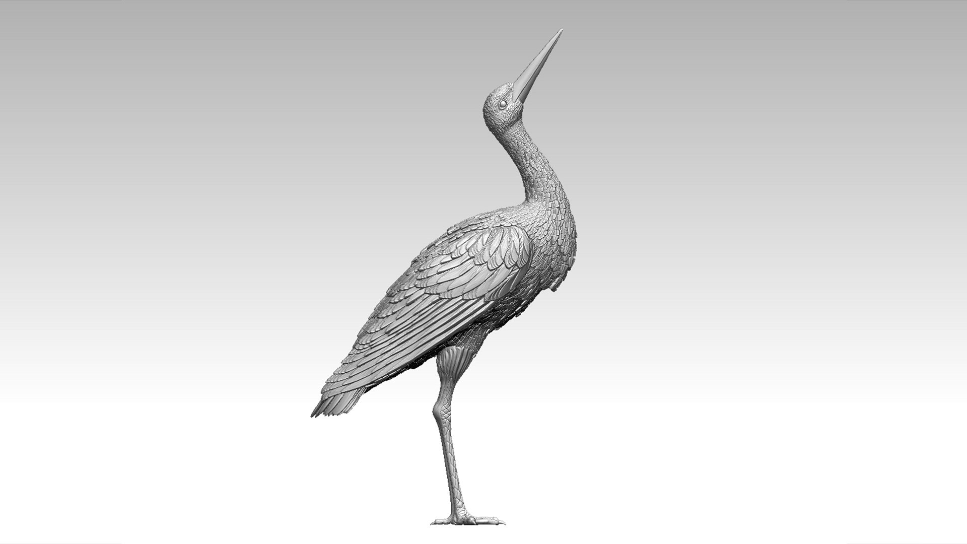 3D Stork Model - TurboSquid 1901458