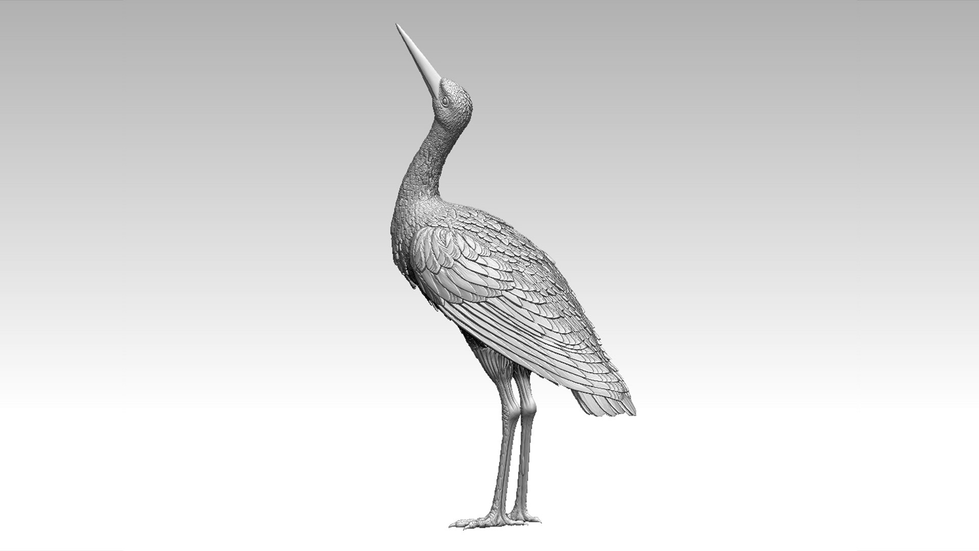 3D Stork Model - TurboSquid 1901458