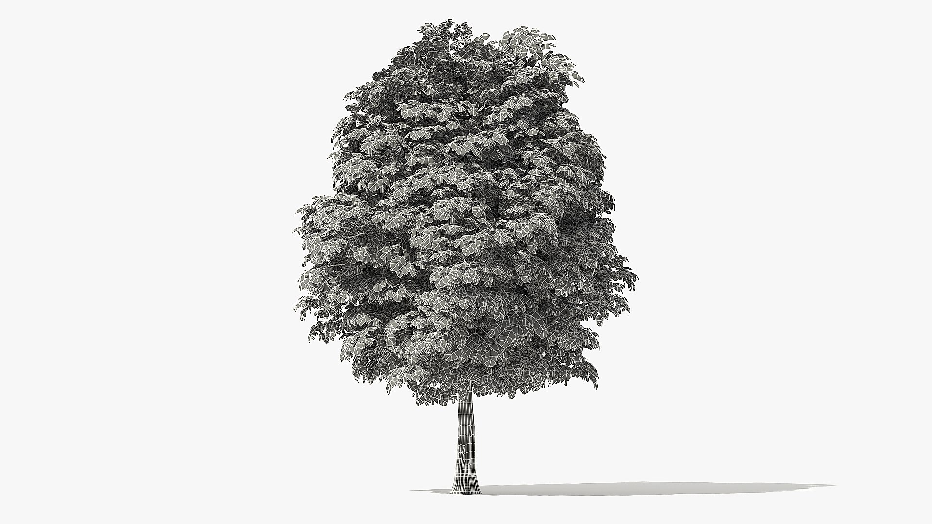 3D autumn rock elm tree model - TurboSquid 1464512