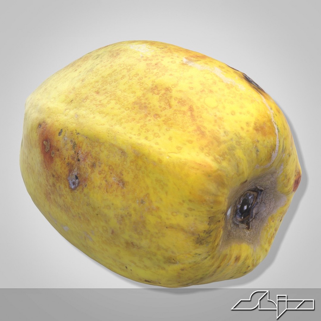 3d Papaya 1 Model