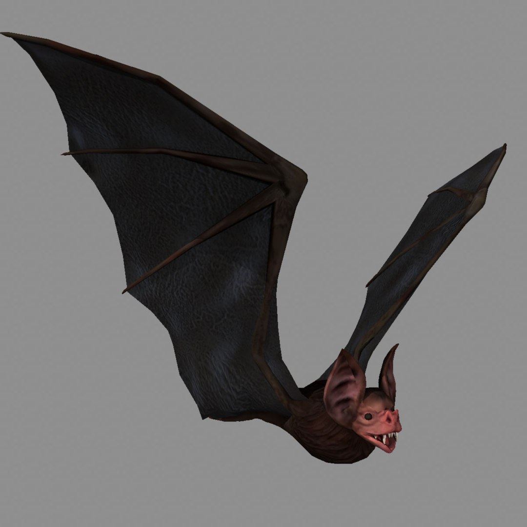 Maya Vampire Bat Rig