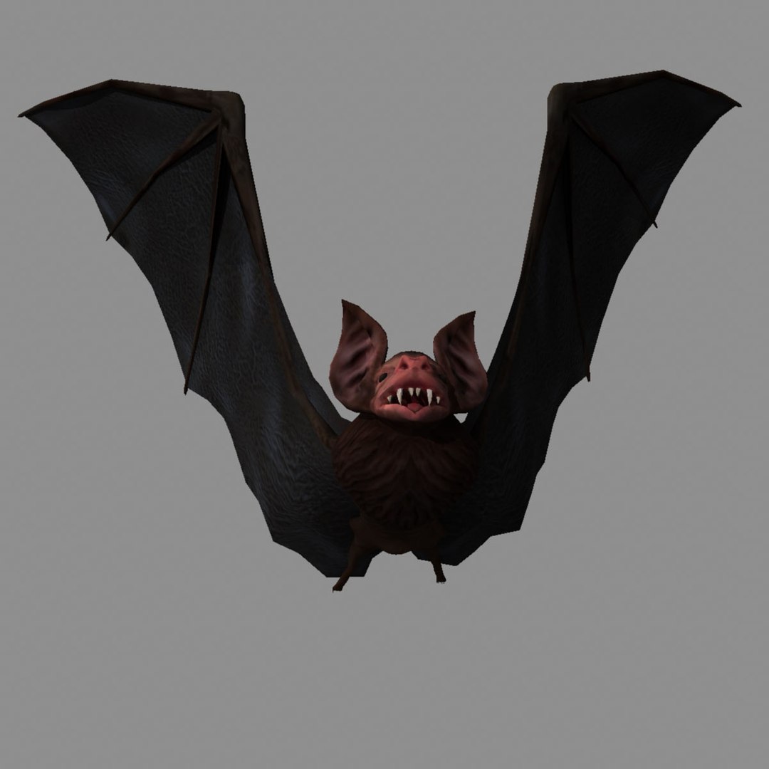 Maya Vampire Bat Rig