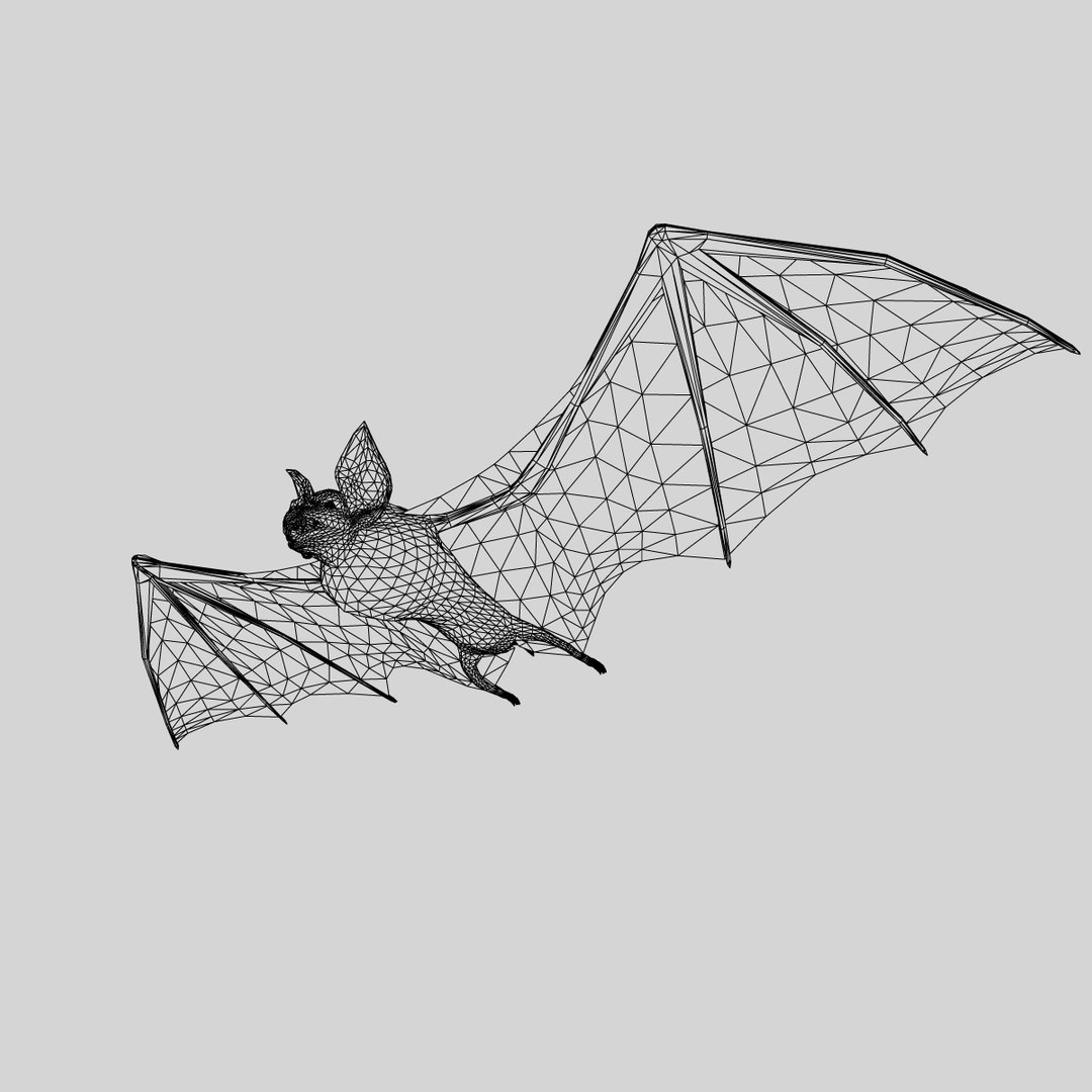 Maya Vampire Bat Rig