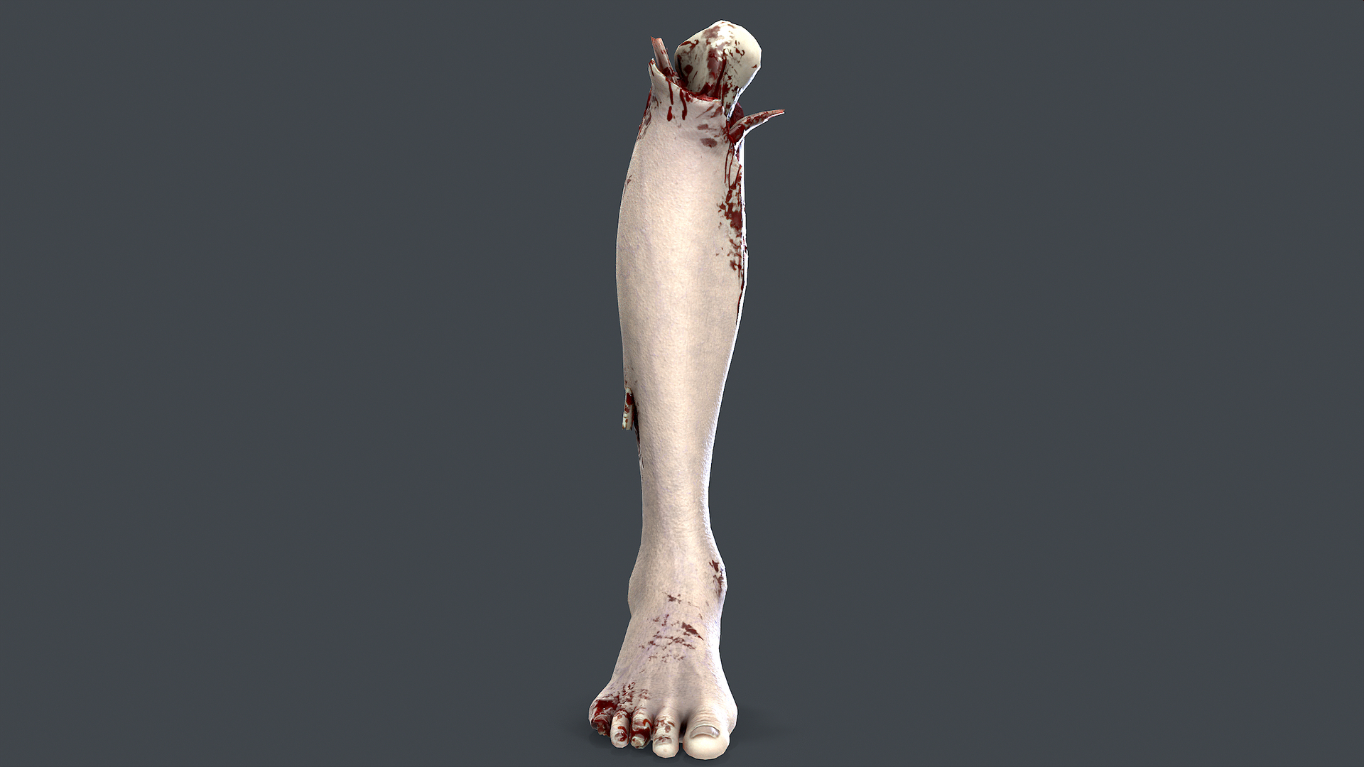 Severed Foot 2 3D - TurboSquid 1925891