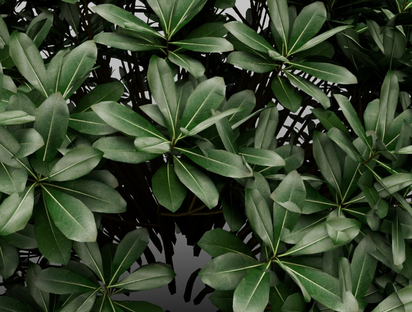 3D Spherical Shrub Model Model - TurboSquid 2379608