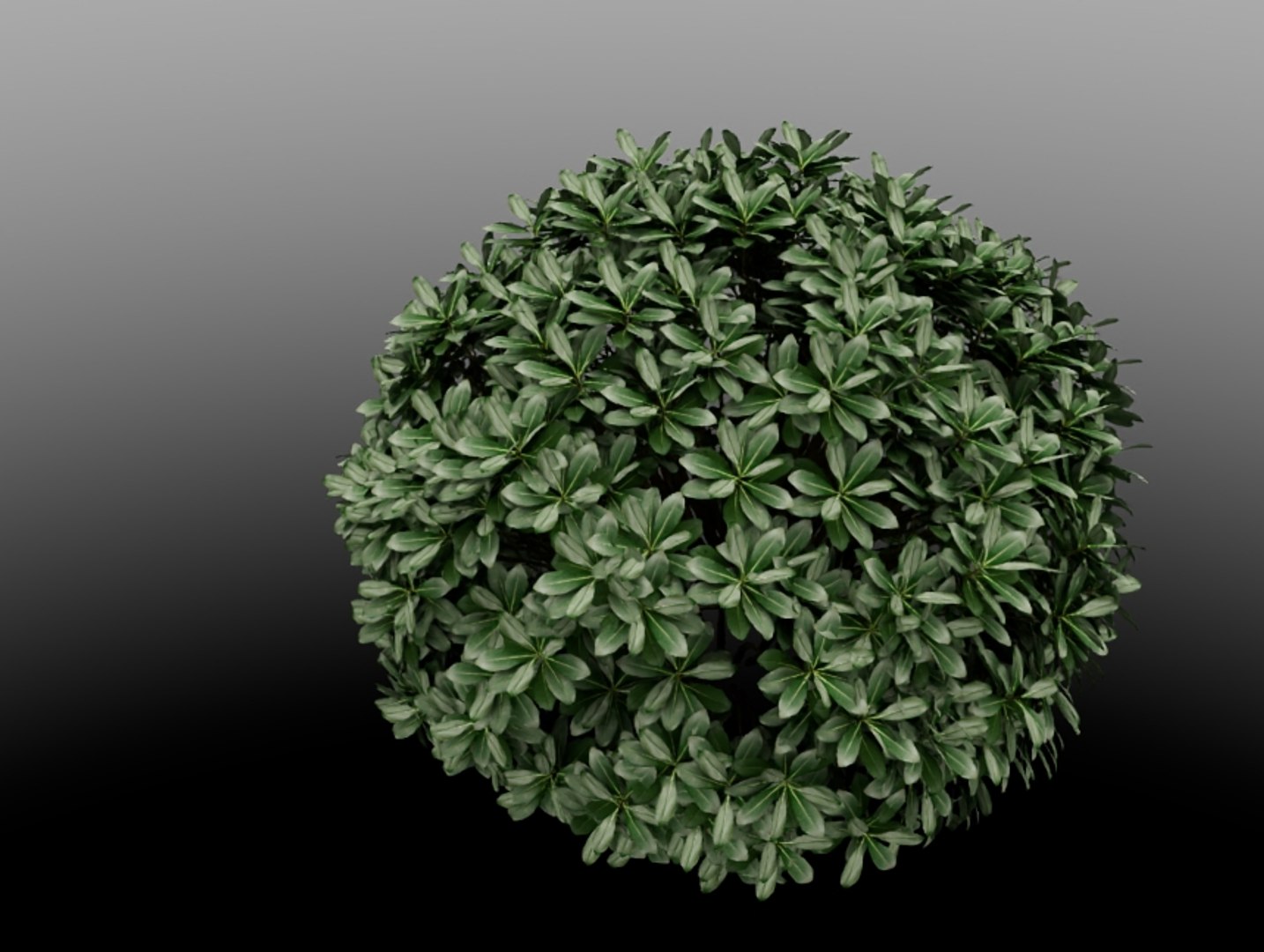 3D Spherical Shrub Model Model - TurboSquid 2379608