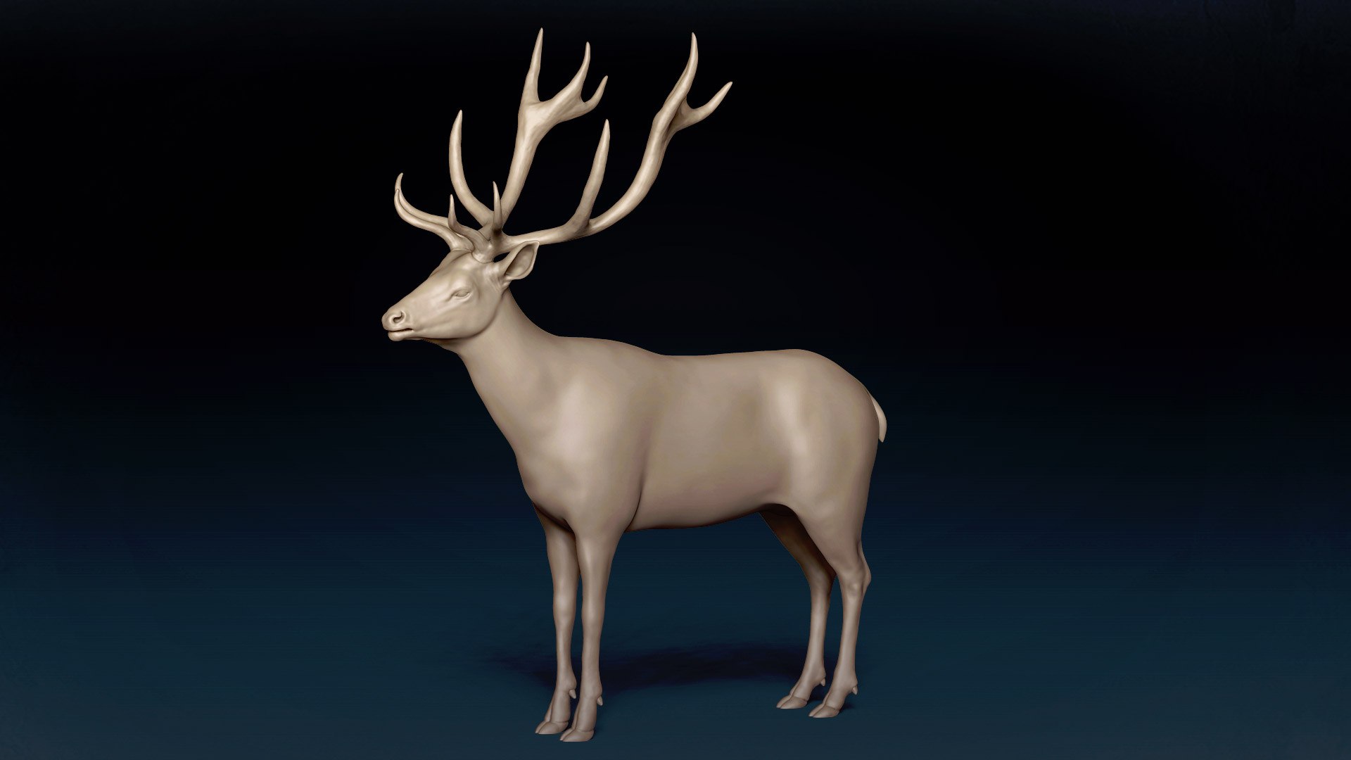 Red Deer Base Mesh 3D 3D - TurboSquid 1823520