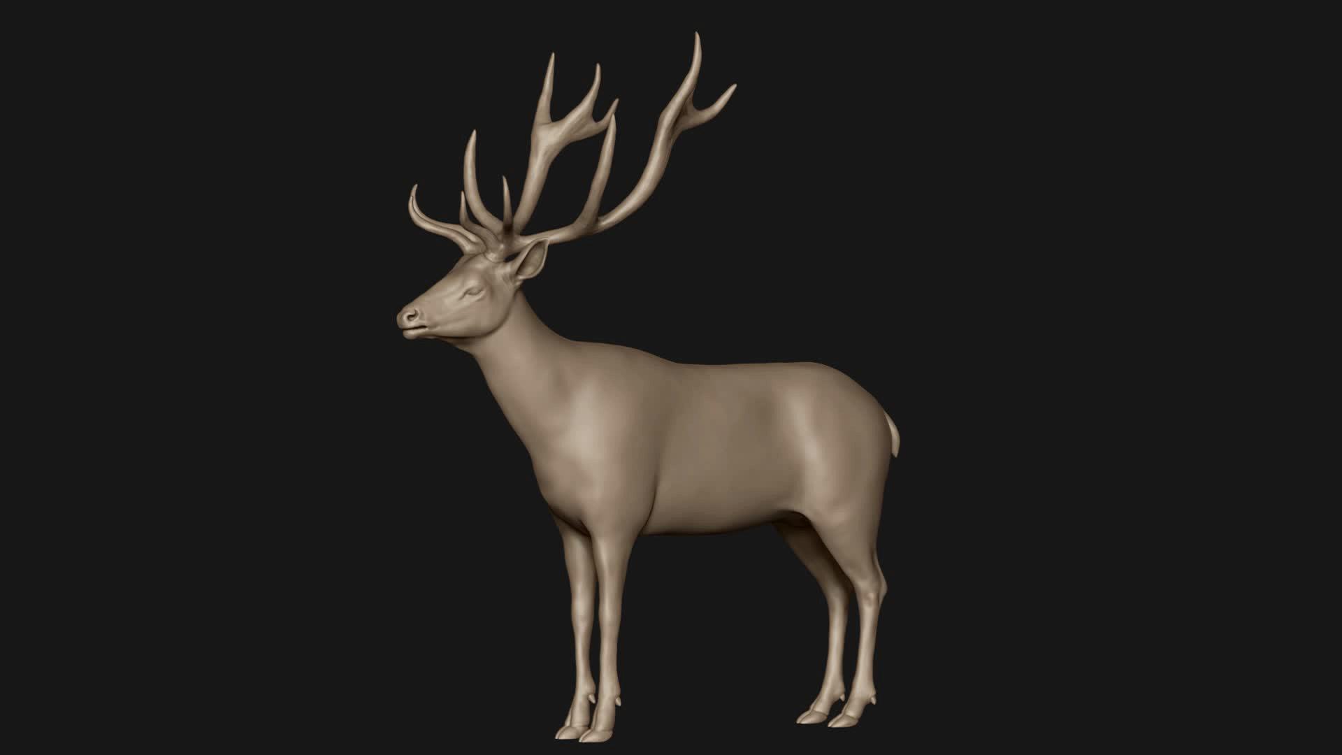 Red Deer Base Mesh 3D 3D - TurboSquid 1823520