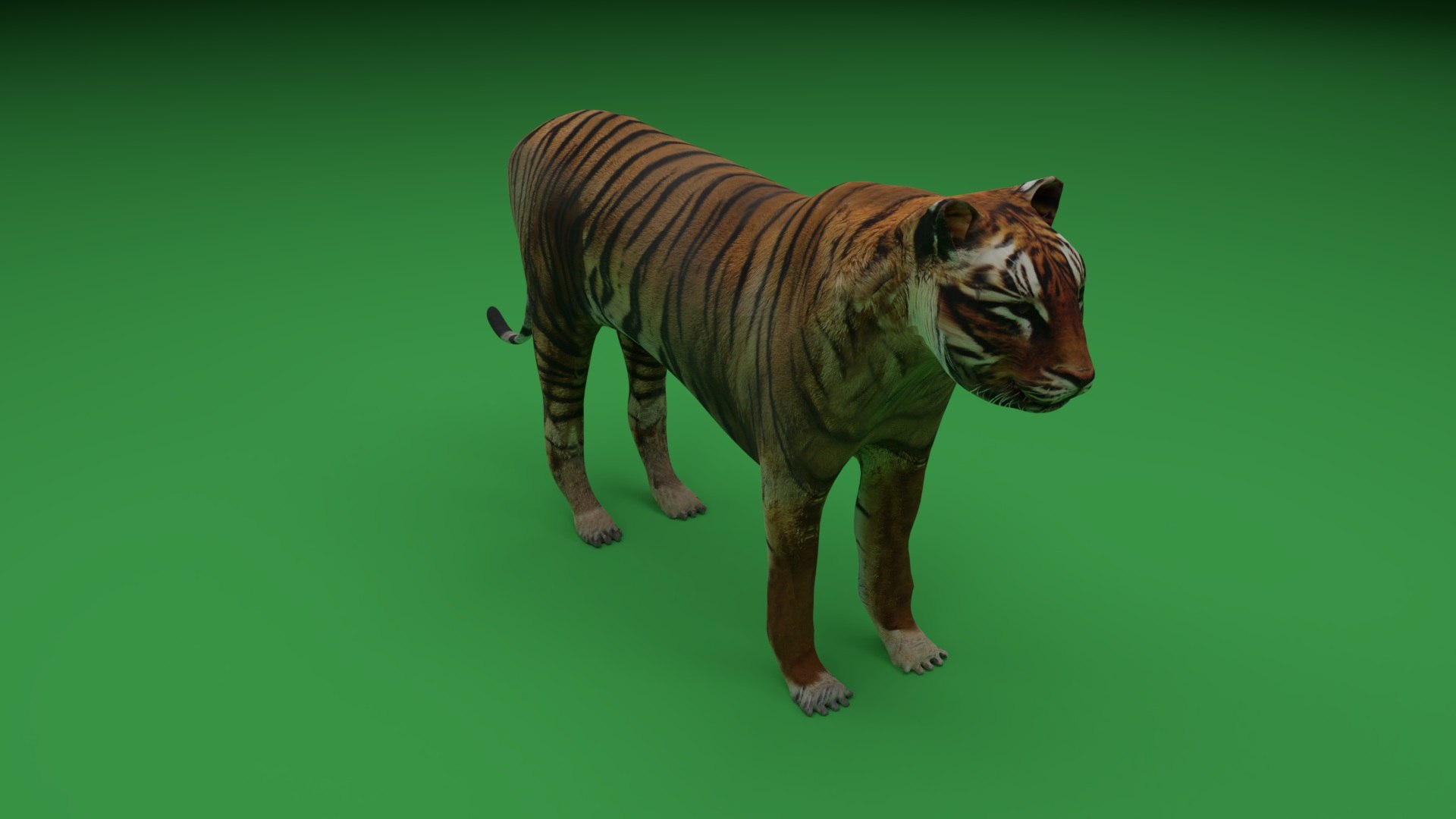 Tiger wildlife animal model - TurboSquid 1297187