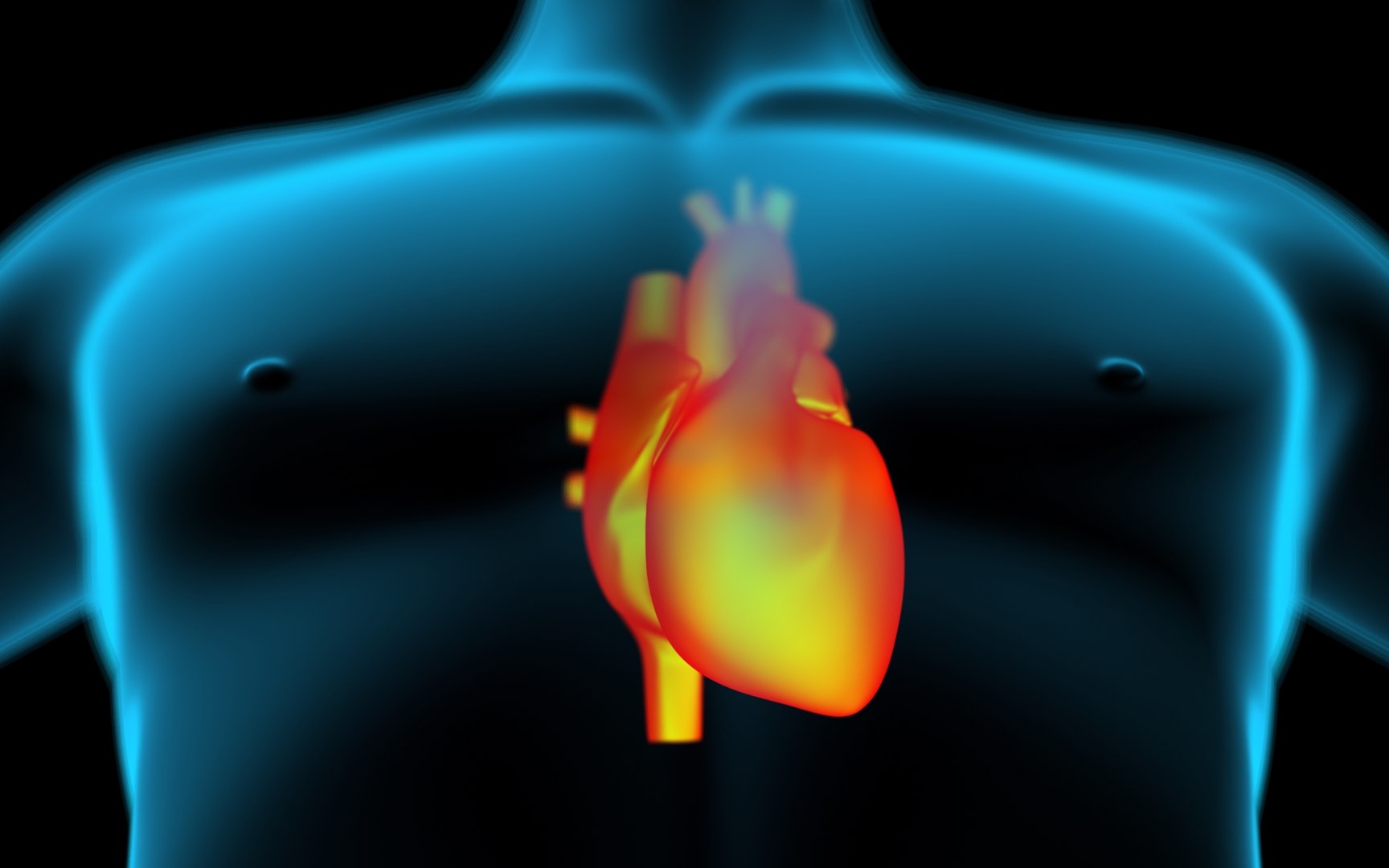 3D Heart X-Ray - TurboSquid 1997230