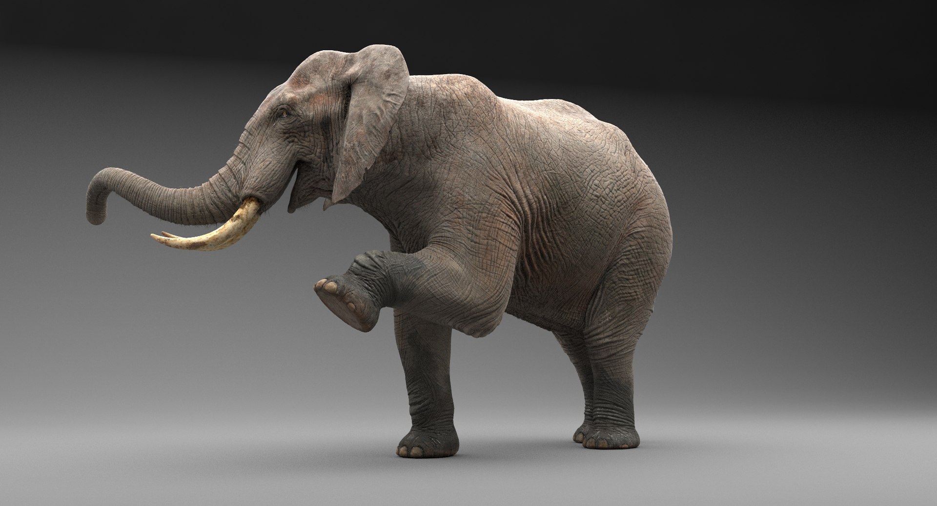 3d model elephant rigging animation