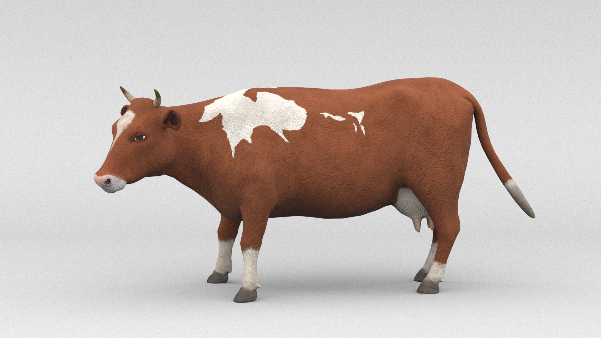 3D Cow Real Rigged Model - TurboSquid 2306674