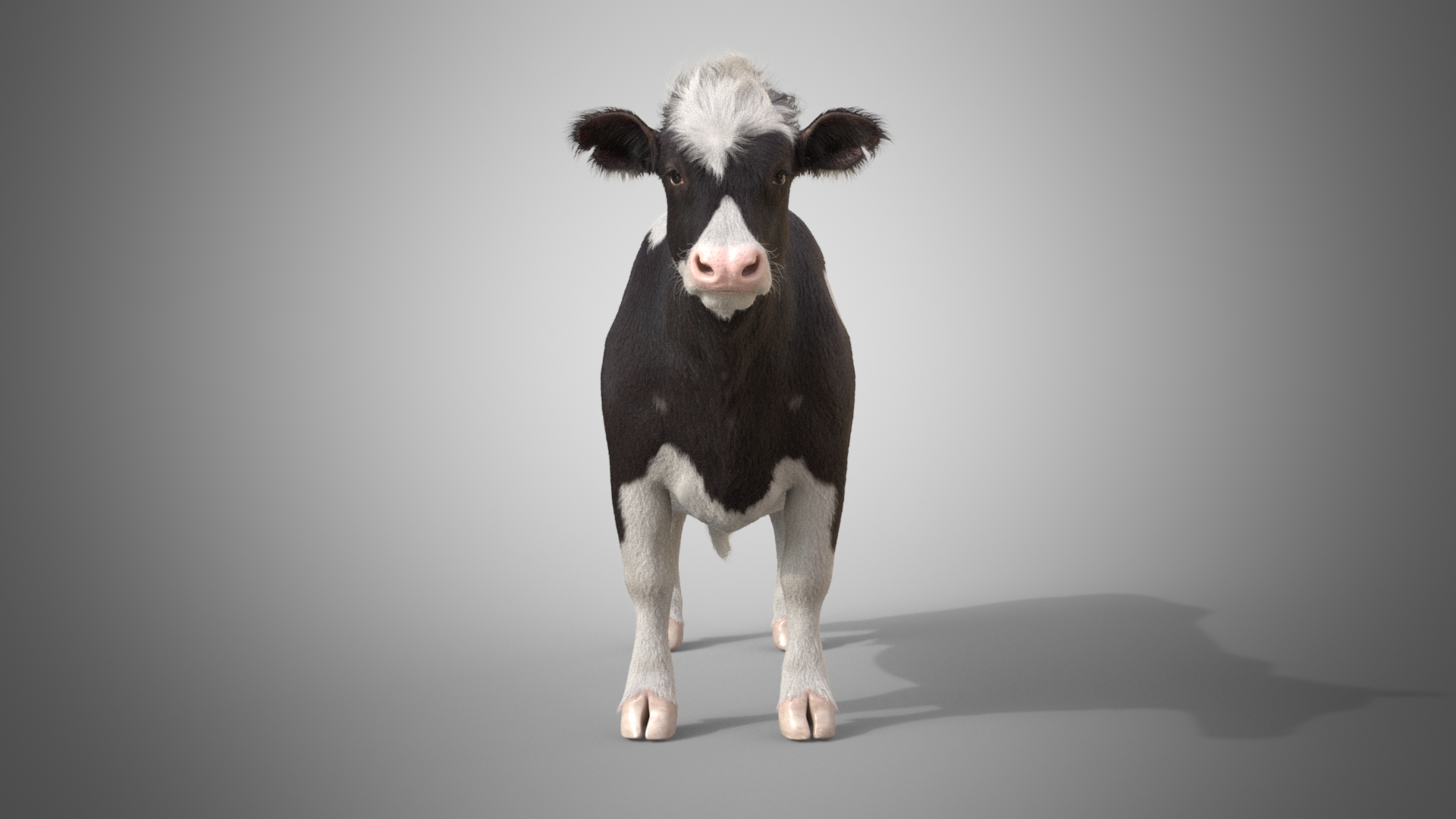 Cow rig fur animation 3D model - TurboSquid 1491323