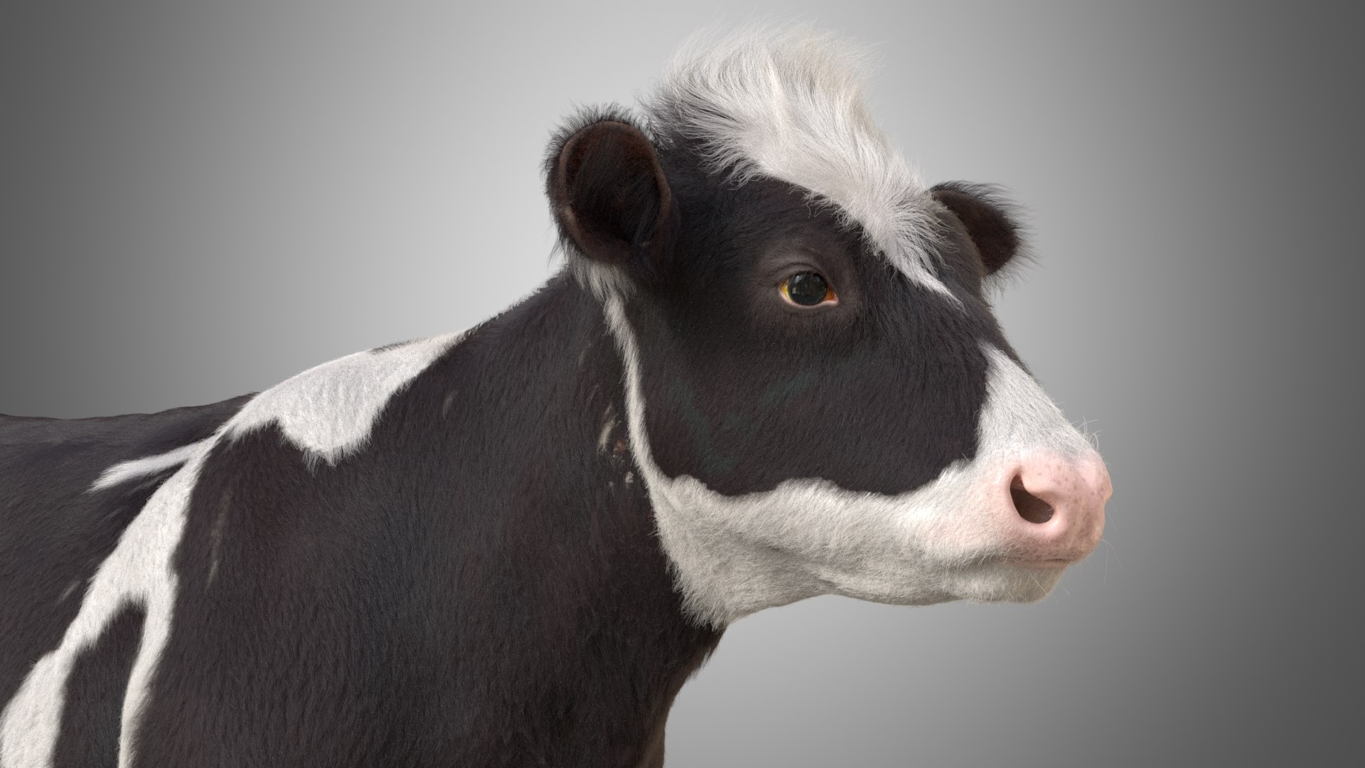 Cow Rig Fur Animation 3D Model - TurboSquid 1491323