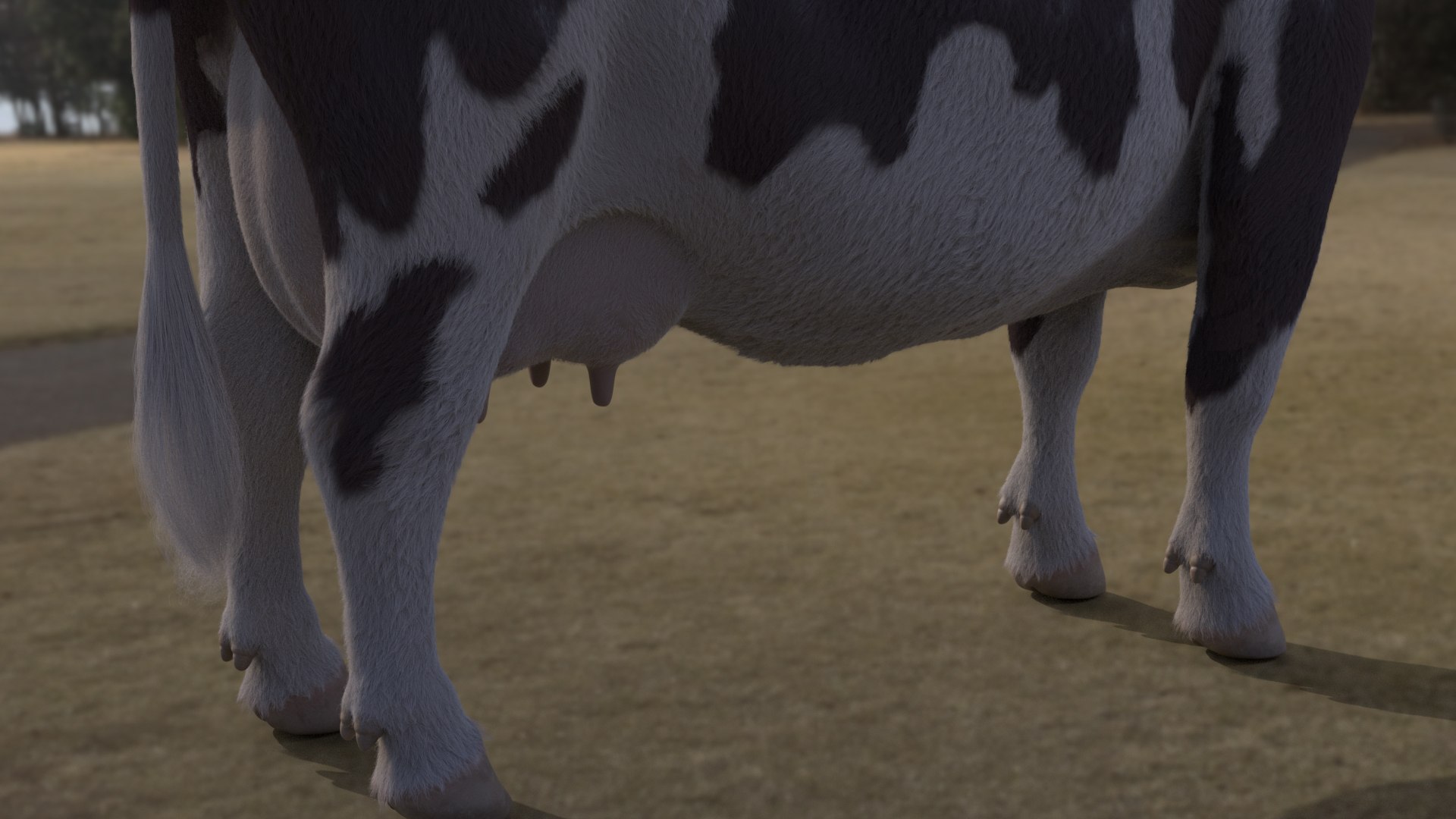 Cow Rig Fur Animation 3D Model - TurboSquid 1491323